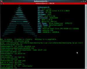 Cum se caută fișiere din terminal în Linux - Despre Linux